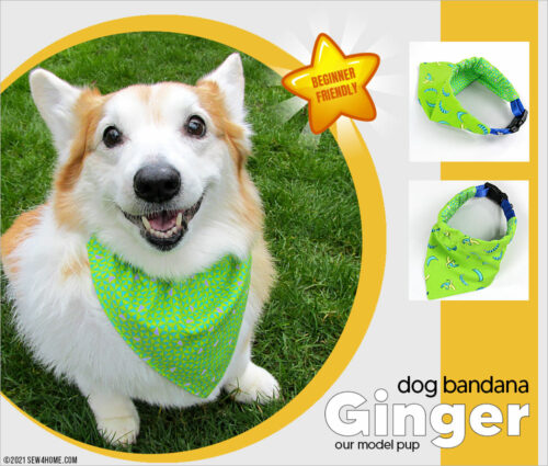 Dog Bandana with Collar Casing - Sew4Home