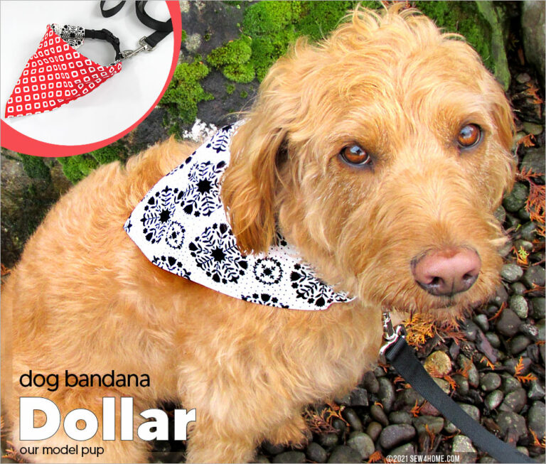 Dog Bandana with Collar Casing - Sew4Home