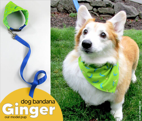 Dog Bandana with Collar Casing - Sew4Home