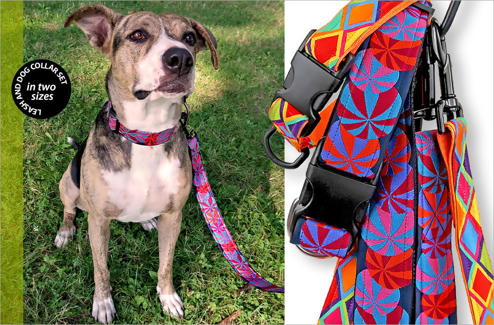 Leash + Dog Collar Sets in Two Sizes - Sew4Home